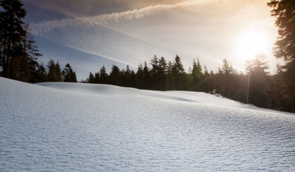 Ongoing Training 2024 OET OEC – Northstar NSP